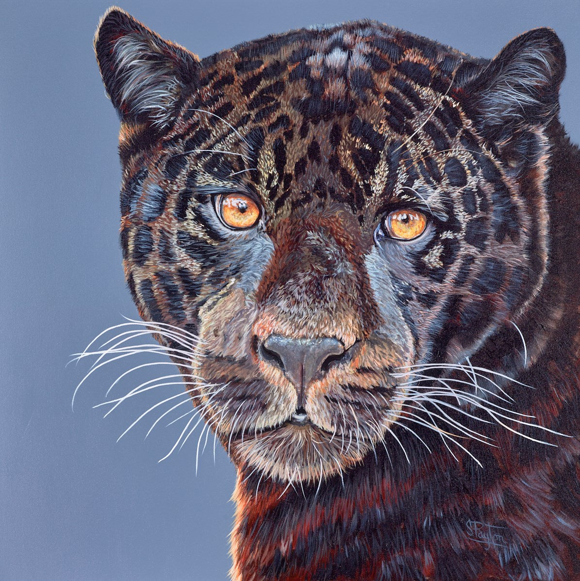 Moonlight Stroll | Sue Payton - Clarendon Fine Art