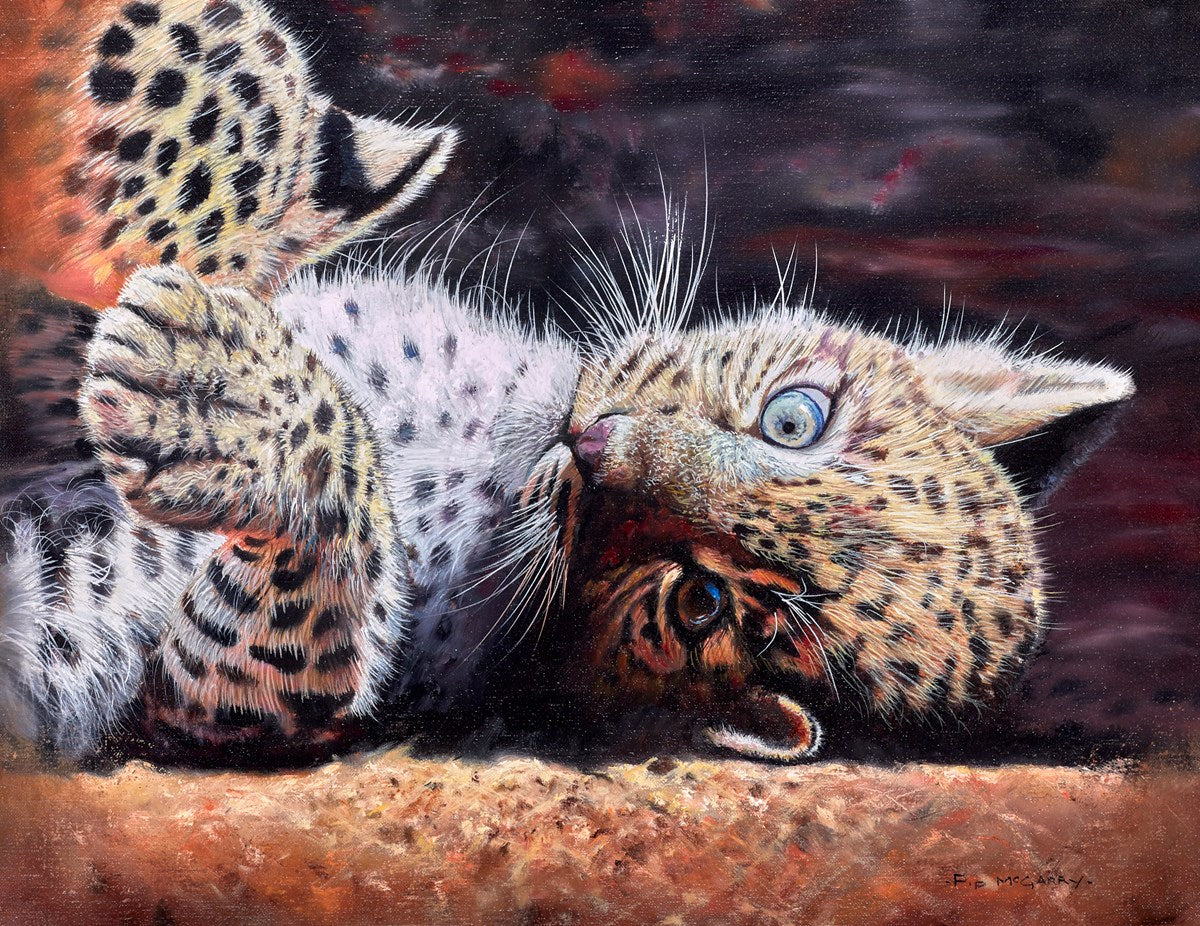 Rolling In The Dark | Pip McGarry - Clarendon Fine Art