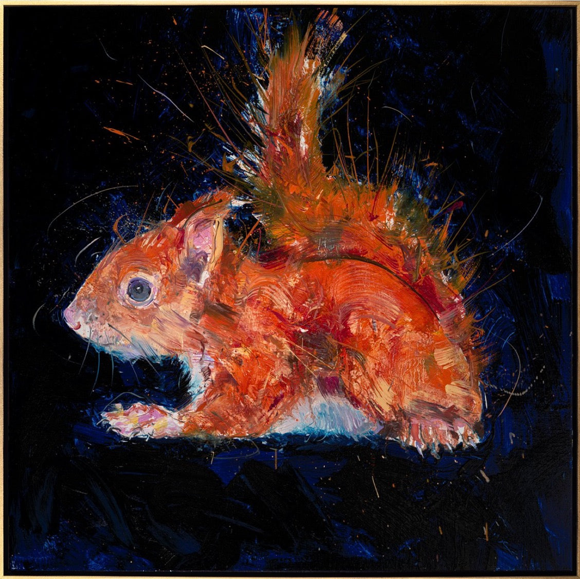 Young Red Squirrel | Dave White - Clarendon Fine Art