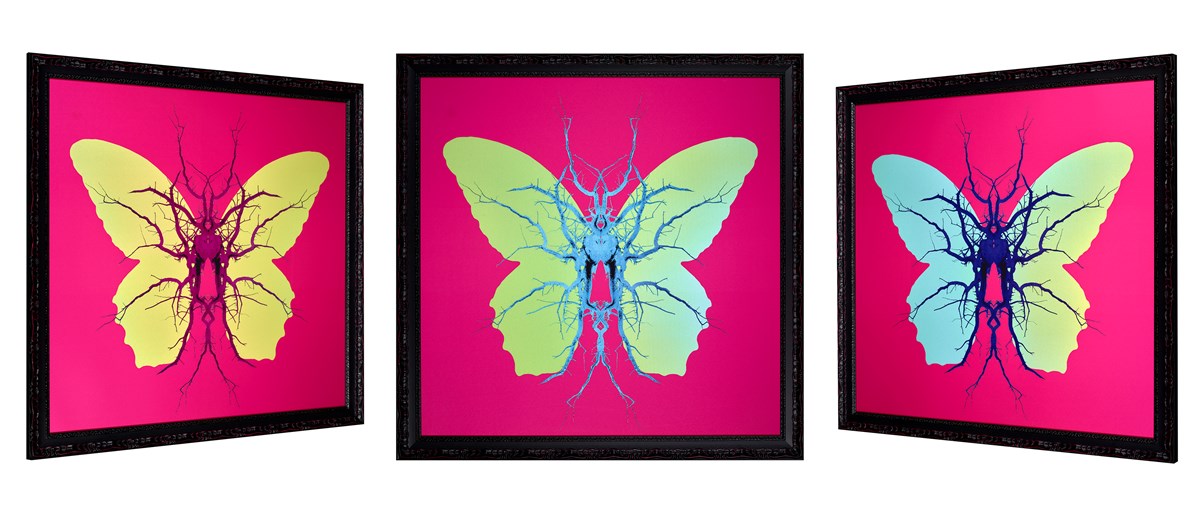 Legendary | Maxim - Clarendon Fine Art