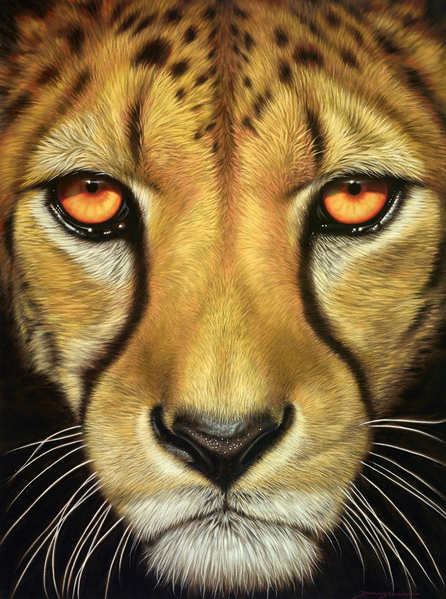 Cheetah II | Darryn Eggleton - Clarendon Fine Art