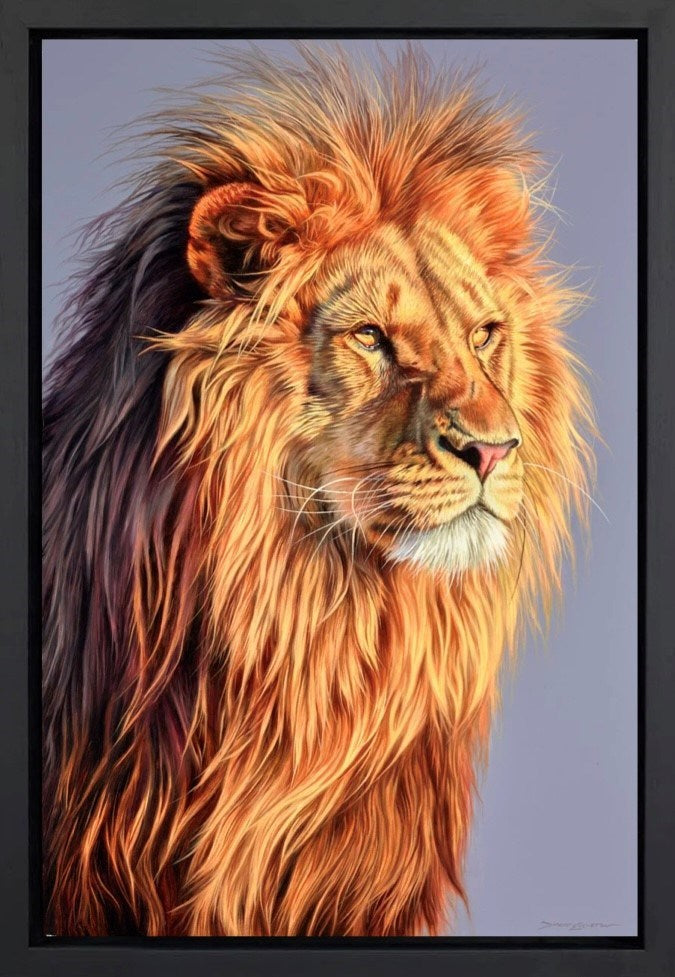 Sunrise Serenade | Darryn Eggleton - Clarendon Fine Art